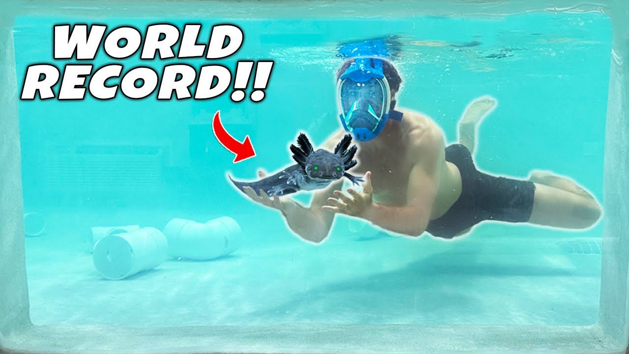 I Built the WORLD'S LARGEST Axolotl Aquarium!! (New Record) - YouTube