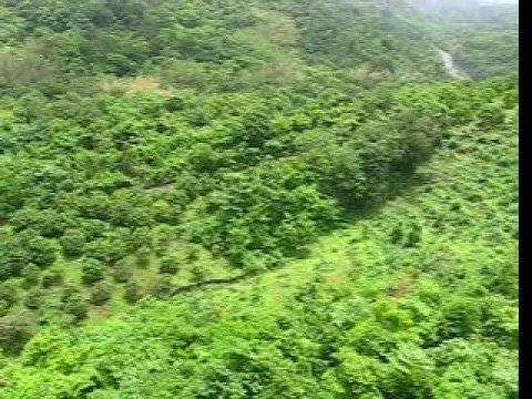 Panval Viaduct - Highest bridge in Asia - YouTube
