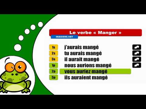 How to conjugate Manger # Conditionnel Passé - YouTube
