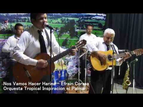 Nos vamos hacer harina - Efrain Correa - Orquesta tropical Inspiración ...