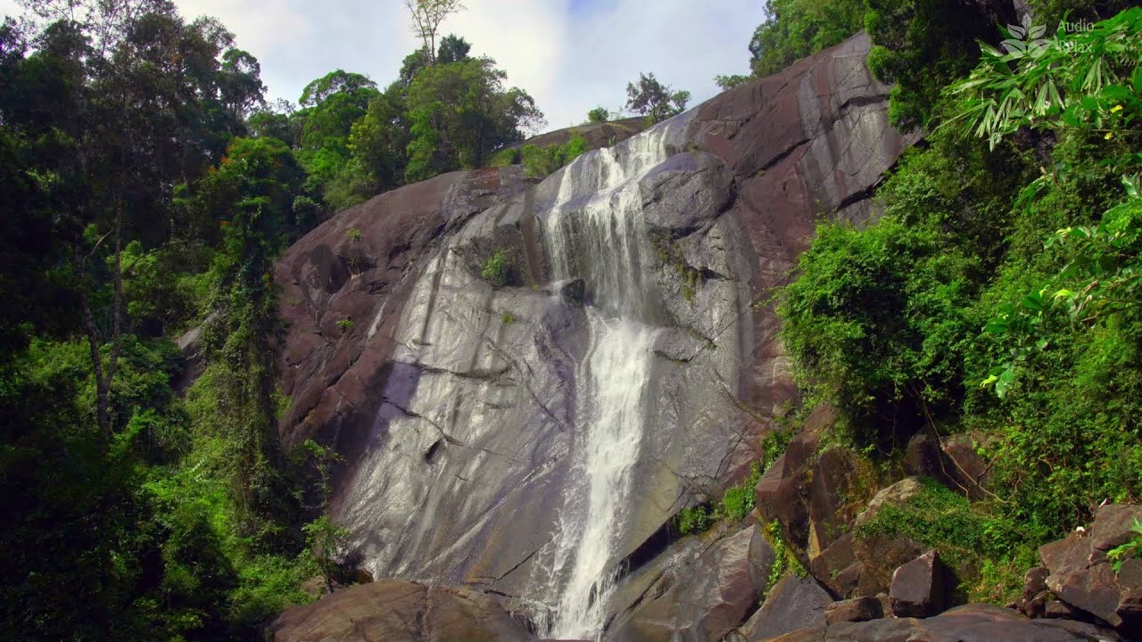 SLEEP QUICKLY with Relaxing waterfall sounds. Peaceful nature ambience ...