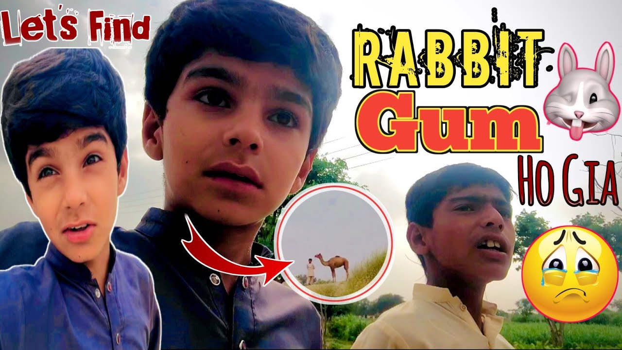 Rabbit 🐇 Gum Ho Gia 🥹 Let's Find 😱 Asad Khan Vlogger ️ - YouTube