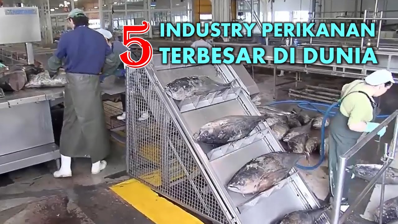 5 Industry Perikanan Terbesar di Dunia - YouTube
