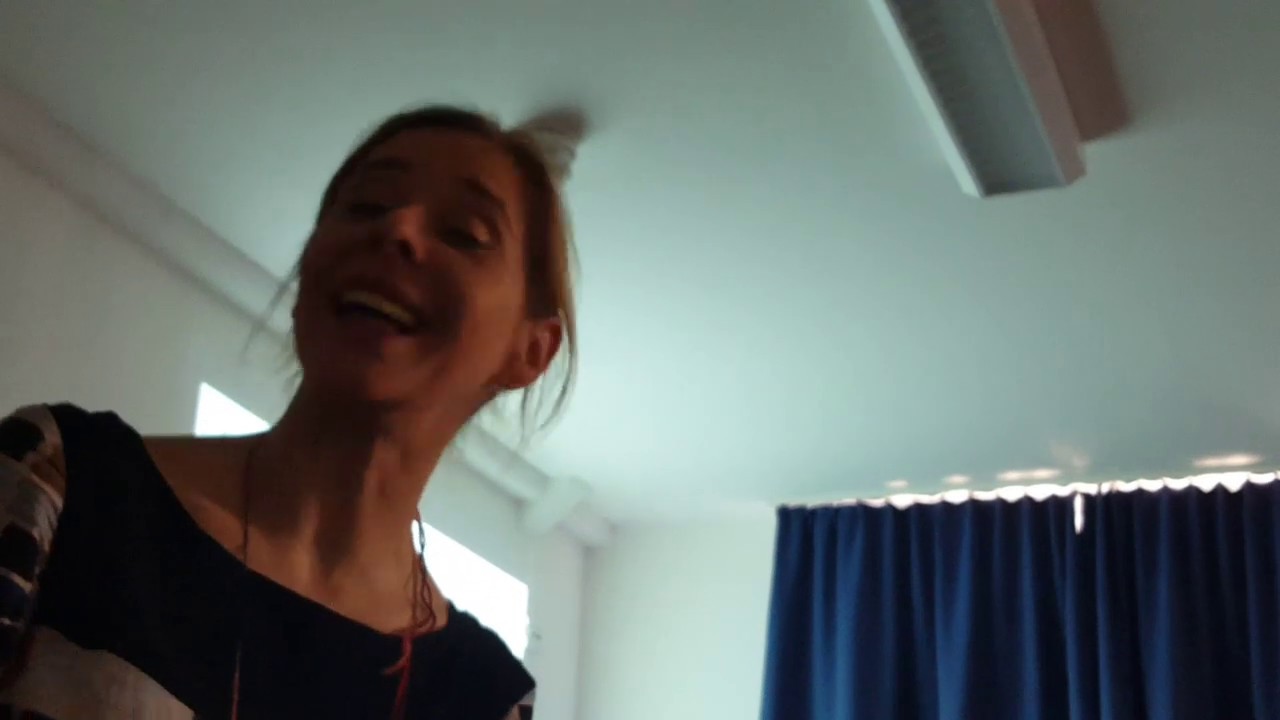 Maria Weidner's Lightning course in Indonesian (Polyglot Gathering 2016 ...