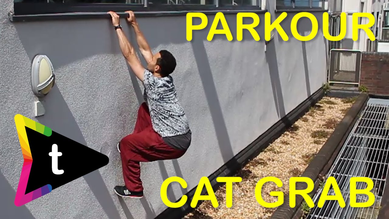 Total Moves - Cat Grab - YouTube