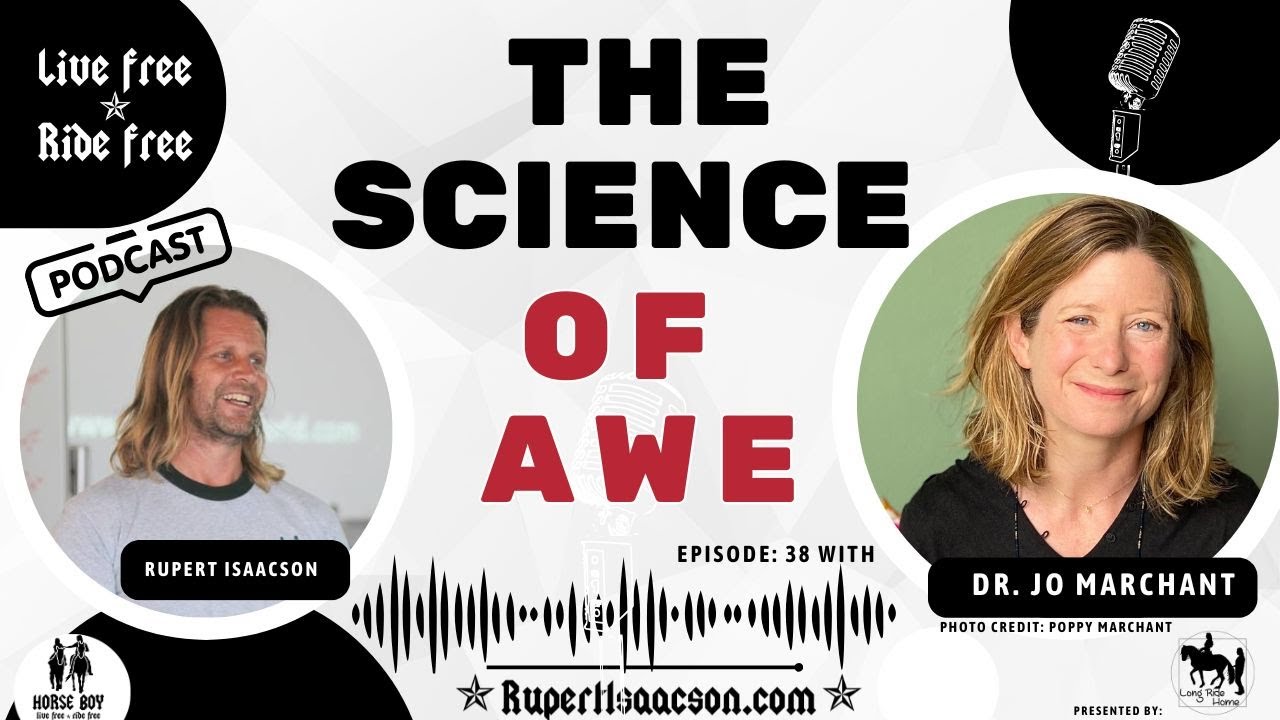 The Science of Wonder: Jo Marchant on Mind, Body & the Present Moment ...