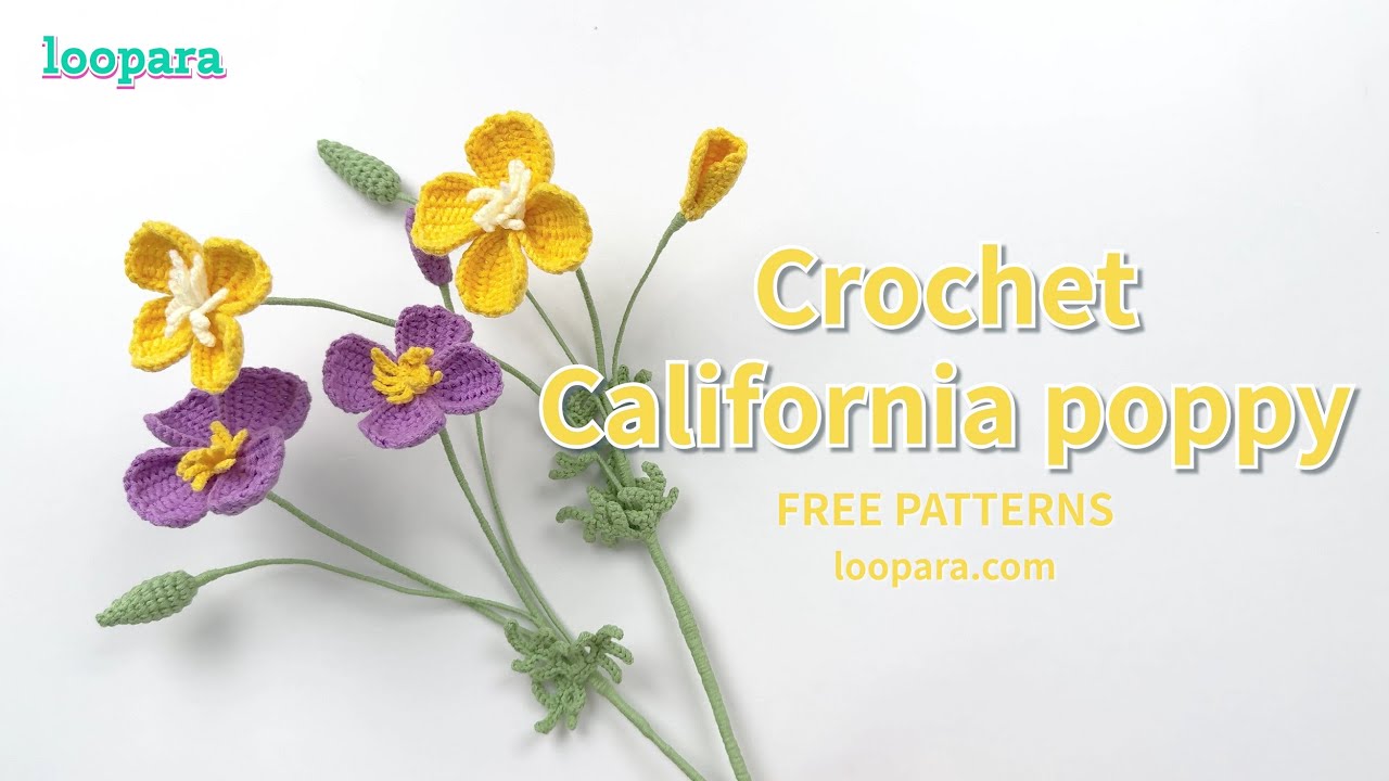 Crochet California Poppy Flower - Free Pattern - YouTube