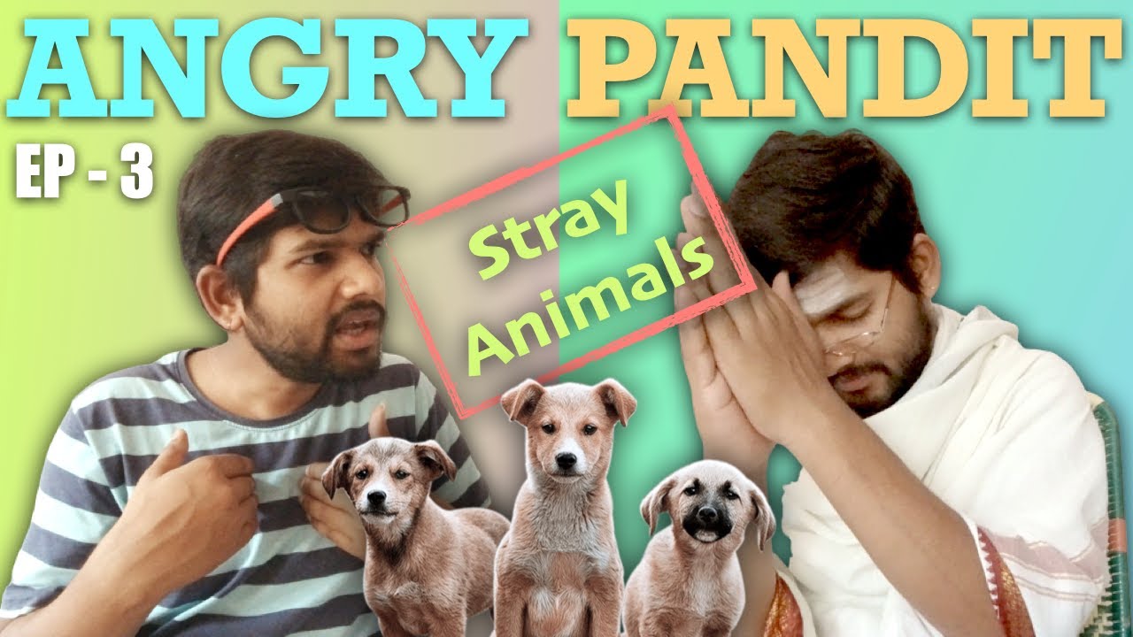 EP 03 | ANGRY PANDIT - STRAY ANIMALS | Fun & Comedy | The Indian ...