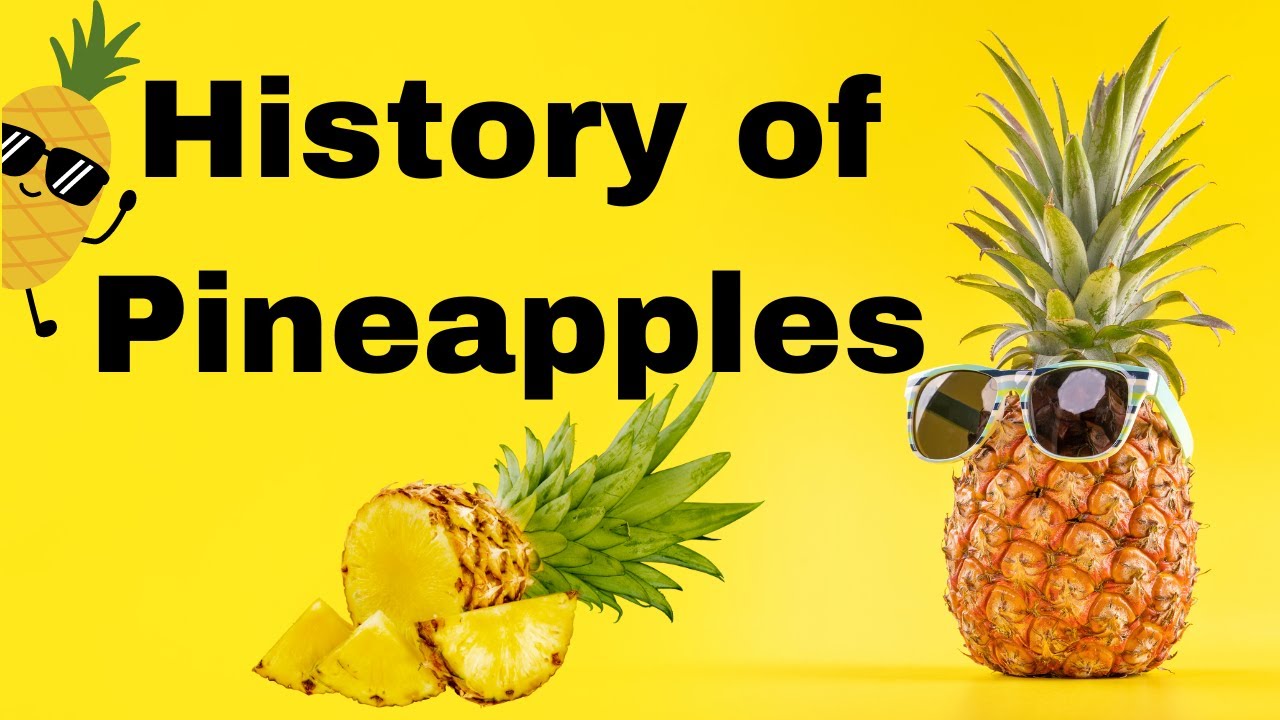 From South America to Global Fame: The Pineapple History - YouTube