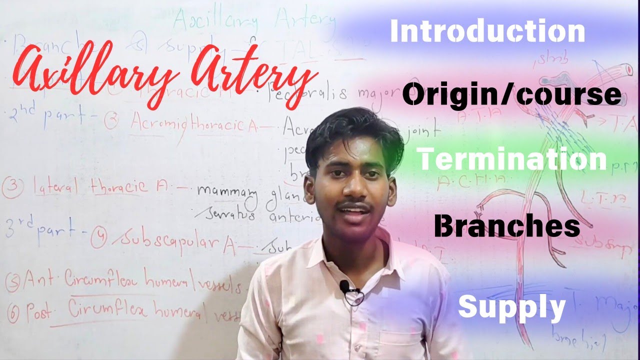 Axillary artery- origin, course, parts, branches, supply and clinical ...