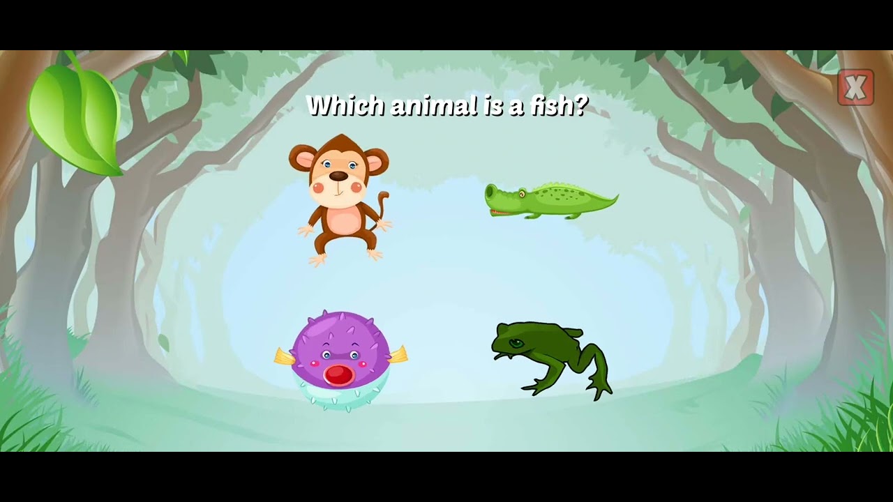 Science Animals 1st Grade Education For Kids - YouTube