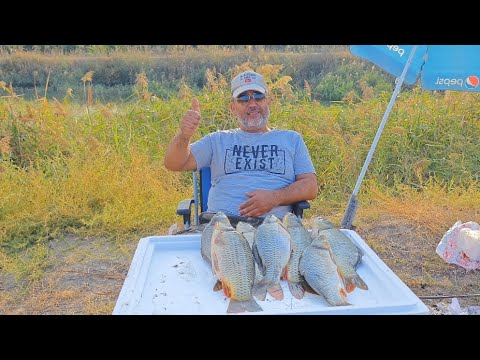 Şamandıralı takım hâlâ en sevdiğim#sazanavı#carpfishing#kamp#yemek#köy#fishing😉