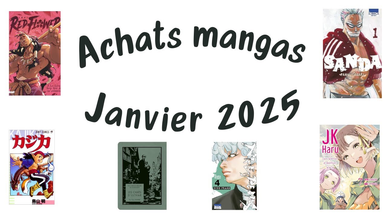 Achats mangas janvier 2025 - YouTube