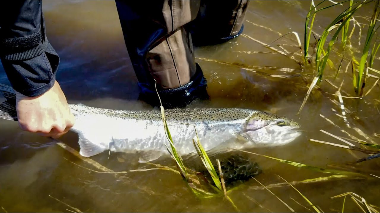 Spring Steelhead Fishing Northern Ontario 2020 - YouTube