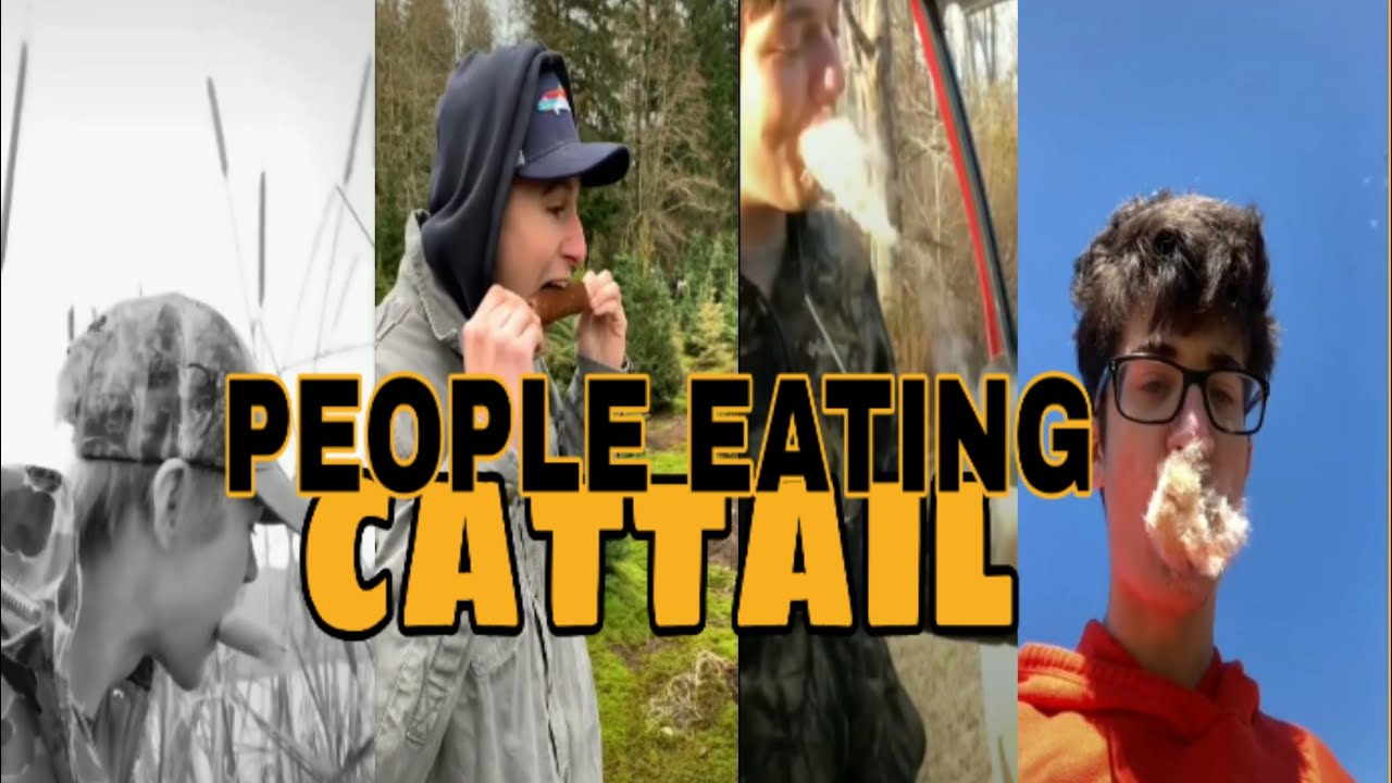 Watch this People Eating Cattail (PART 3) - YouTube