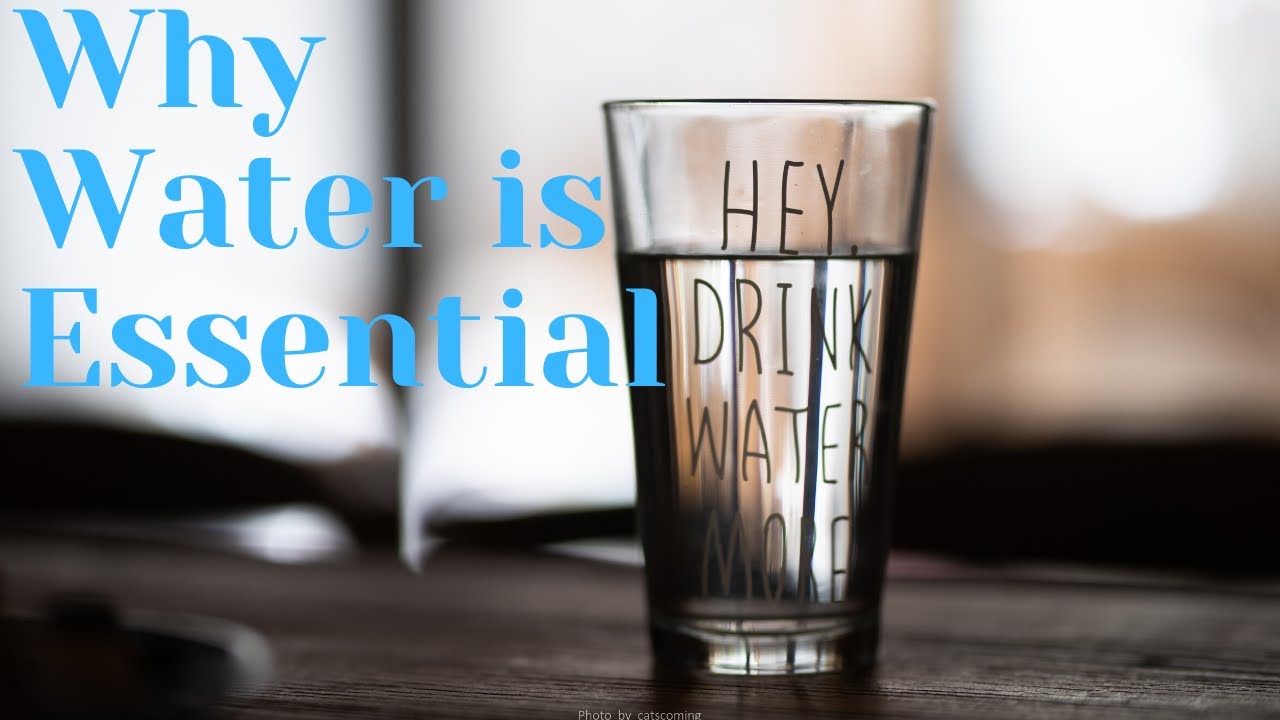 Why Water is Essential! #Water #Hydrate #Drink - YouTube