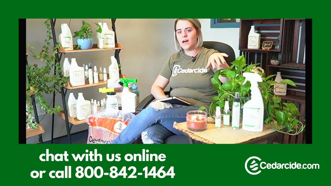 Get Rid of Your Ant Problem with Cedarcide - YouTube