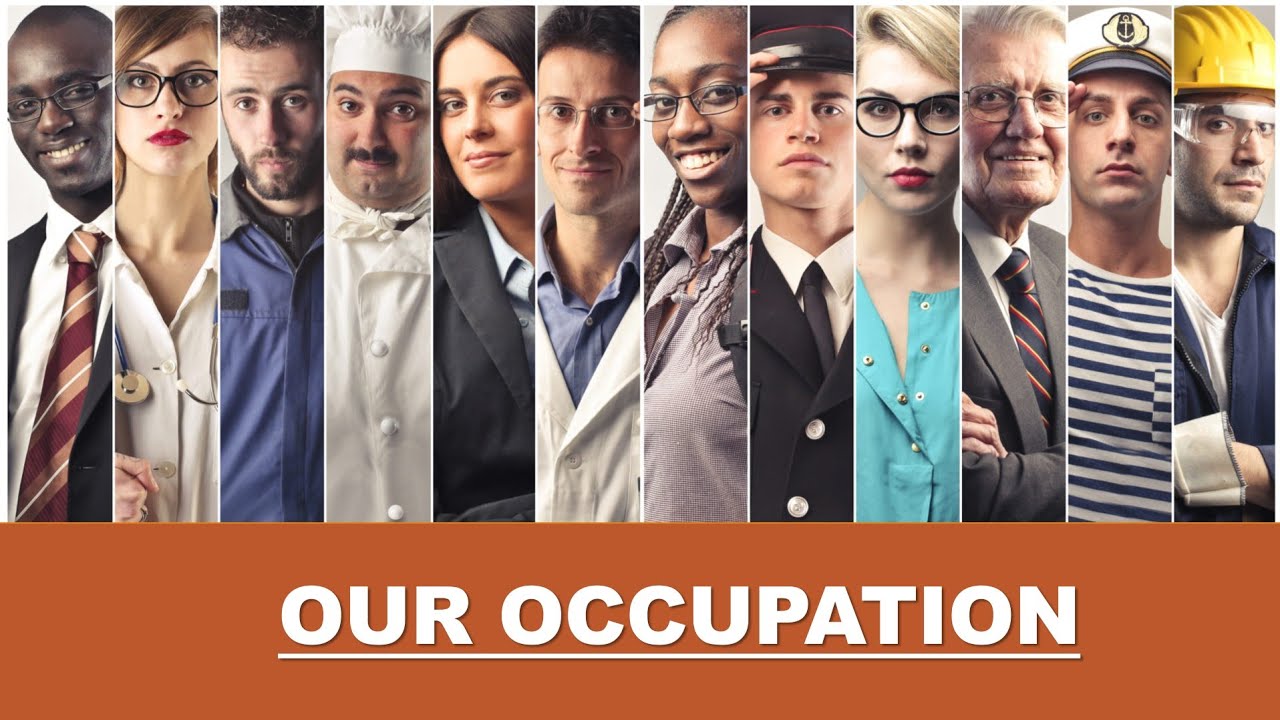 Our Occupation| Class-3 Social | Chap-9 - YouTube