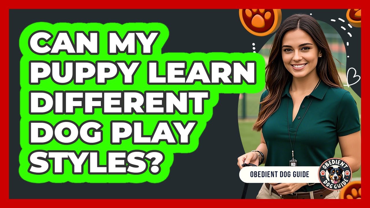 Can My Puppy Learn Different Dog Play Styles? - Obedient Dog Guide ...