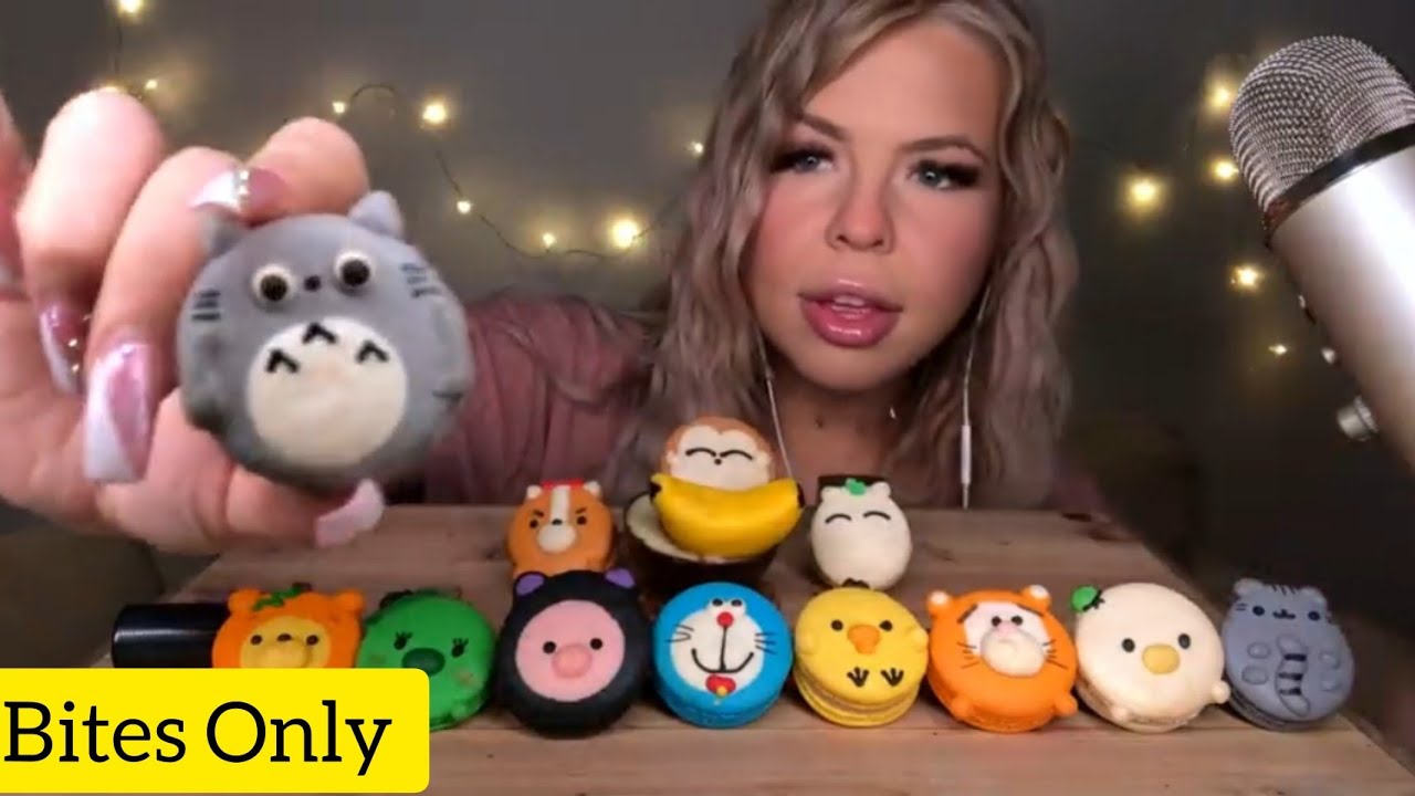 BITES ONLY Animal Macaron // Hunnibee ASMR - YouTube