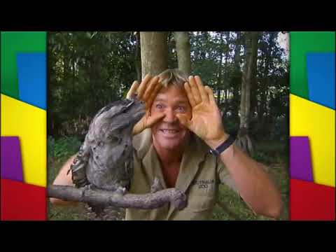 Do The Owl Intro (feat. Steve Irwin)