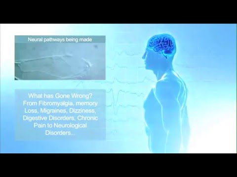 Brain Remapping and Organ Remapping - YouTube