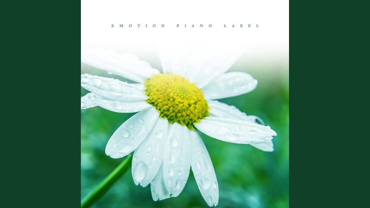 Will It Be My Spring (Nature Ver.) - YouTube