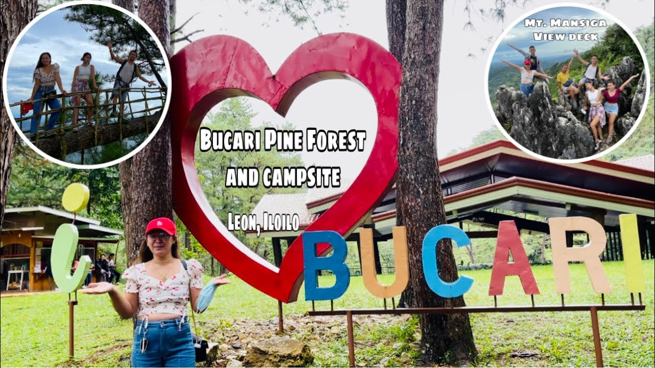 BUCARI PINE FOREST AND CAMPISTE | The Summer Capital of Iloilo | Leon ...