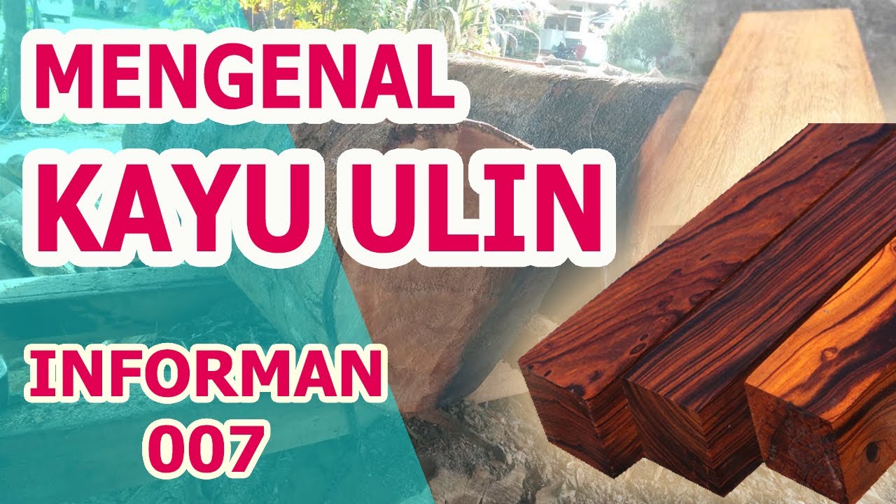 MENGENAL KAYU ULIN SI KAYU BESI TERKUAT DI DUNIA - YouTube