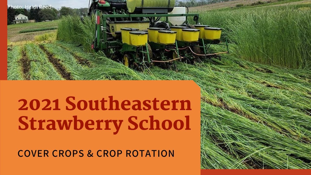 Part 4 | Cover Crops and Crop Rotation - YouTube
