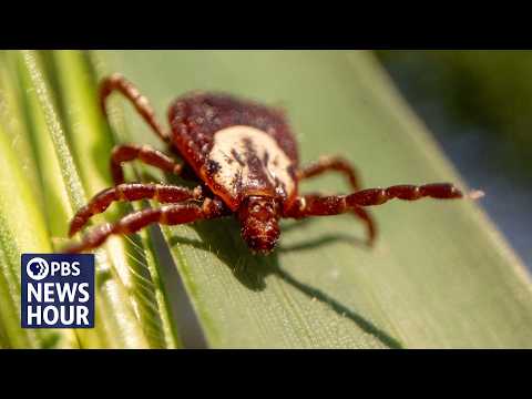 What to know as ticks spread to new regions and bring new threats
