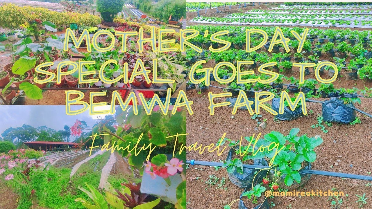 Famous Tourist Spots in BUDA| BEMWA FARM |KAIZEN BUDA RESTAURANT|Davao ...