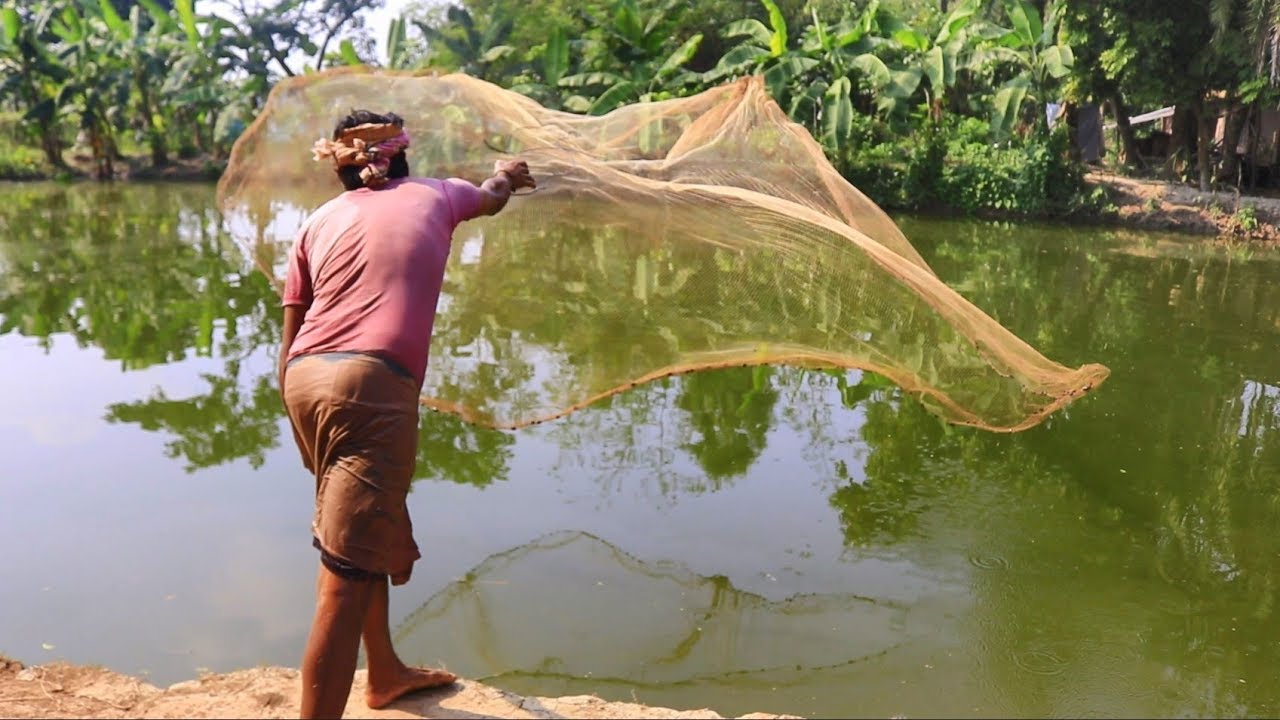 Net Fishing | Catching Fish By Cast Net| Fishing with beautiful nature ...