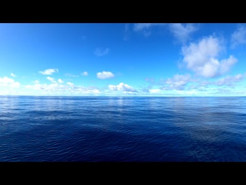 Ay ışığı altında dalgalar 🌾 romantik ve sakin melodi 🐬🐟 Müzik Sergei Grischuk