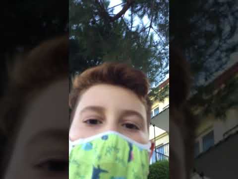 Ağlayan Kediler