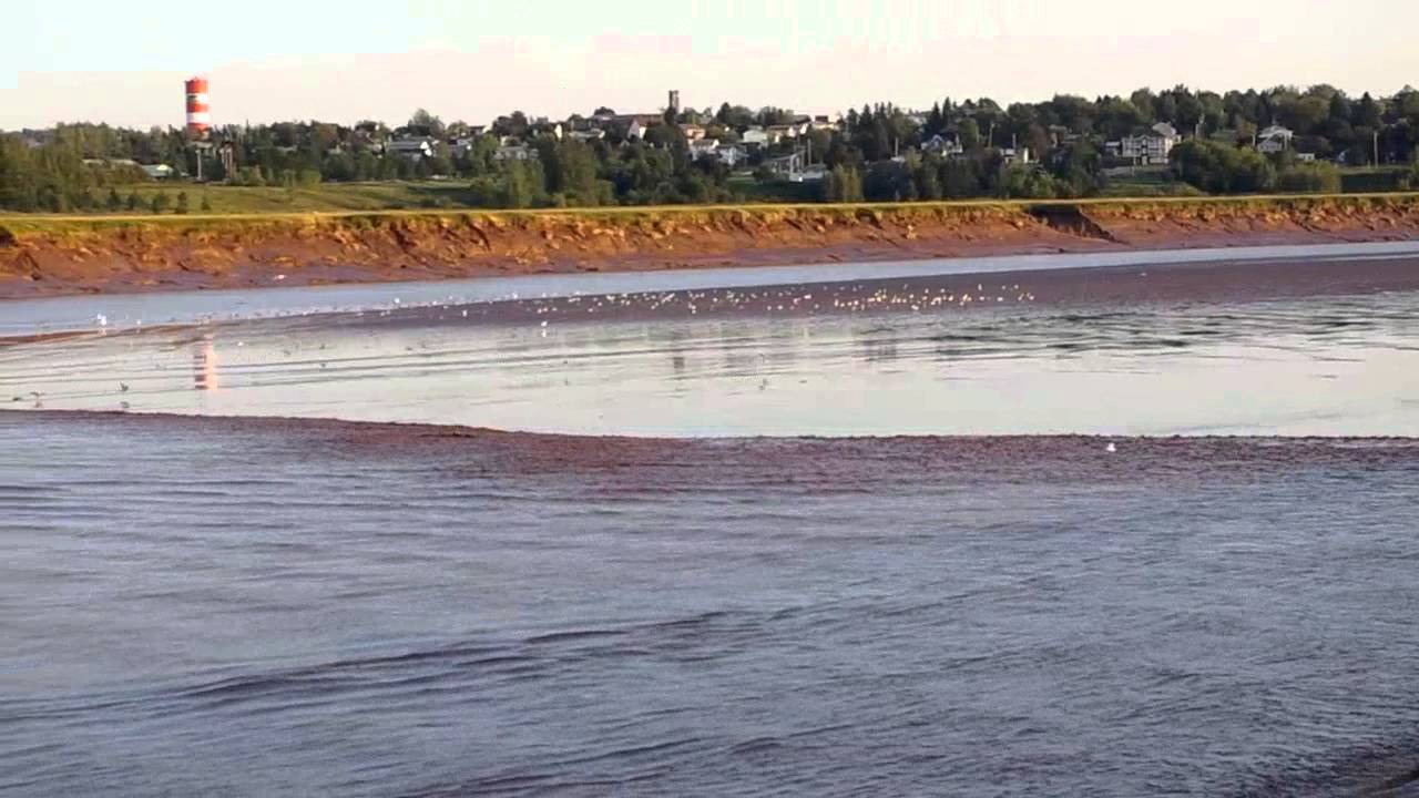 Tidal bore flowing upstream from Bay of Fundy - YouTube