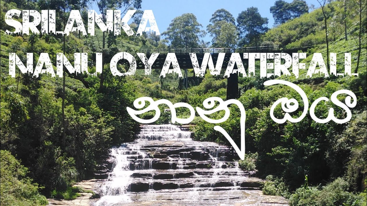 නානු ඔය🇱🇰|Nanu oya waterfall😊|#travel |#youtube|#amazing|#waterfall😜 ️ ...