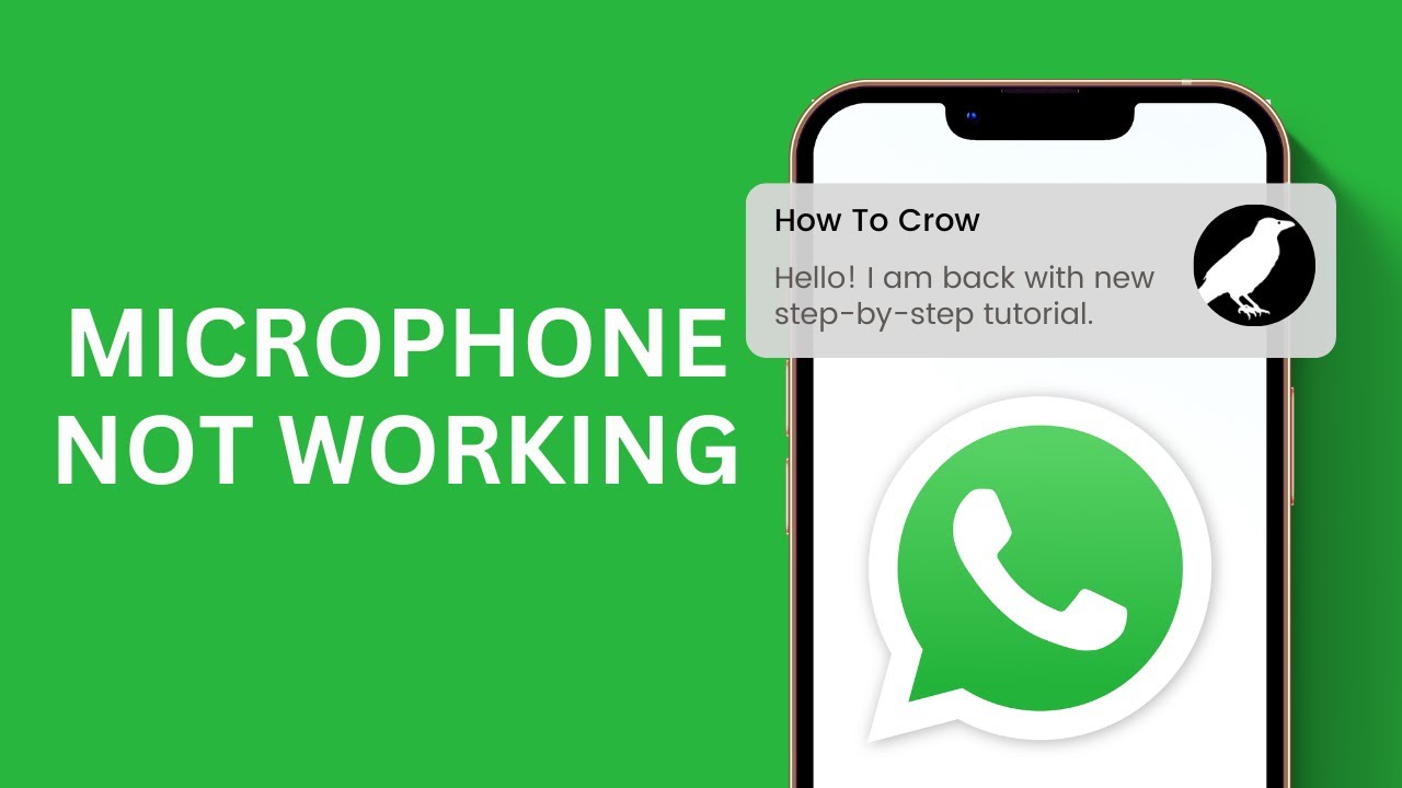 How to Fix WhatsApp Microphone Not Working - YouTube