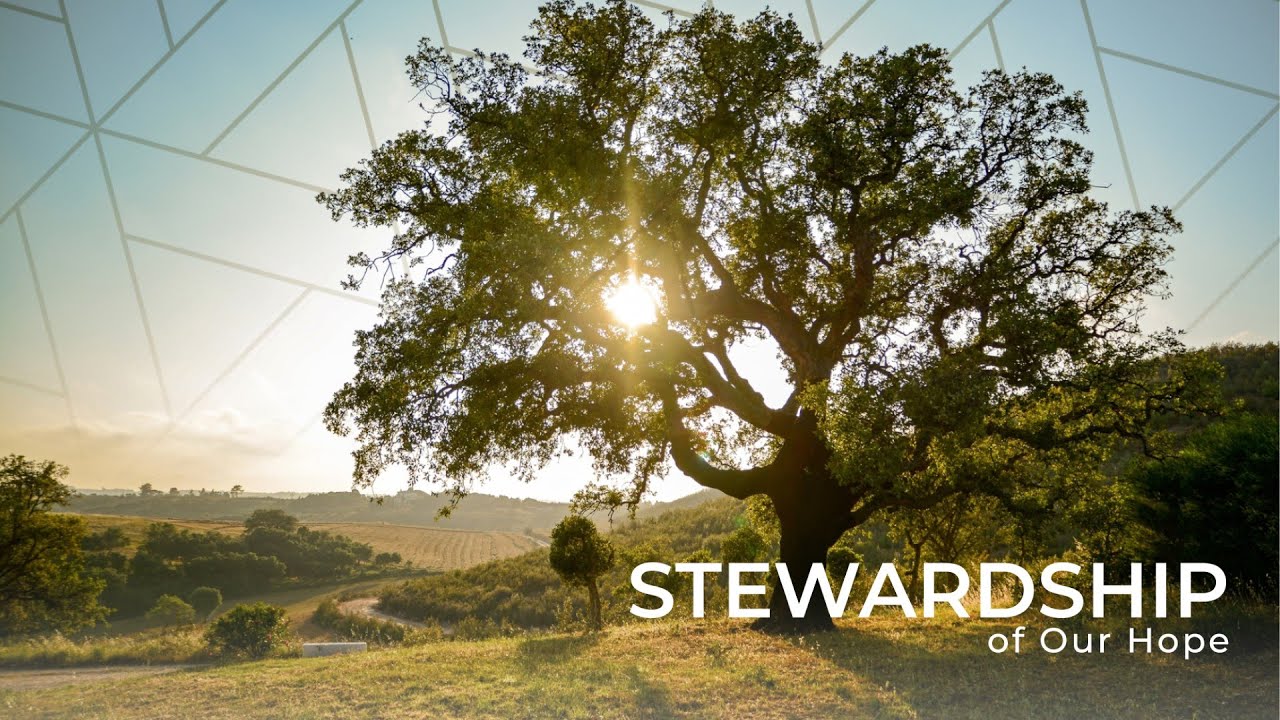 Stewardship of Our Mission (Steve Viars) - YouTube