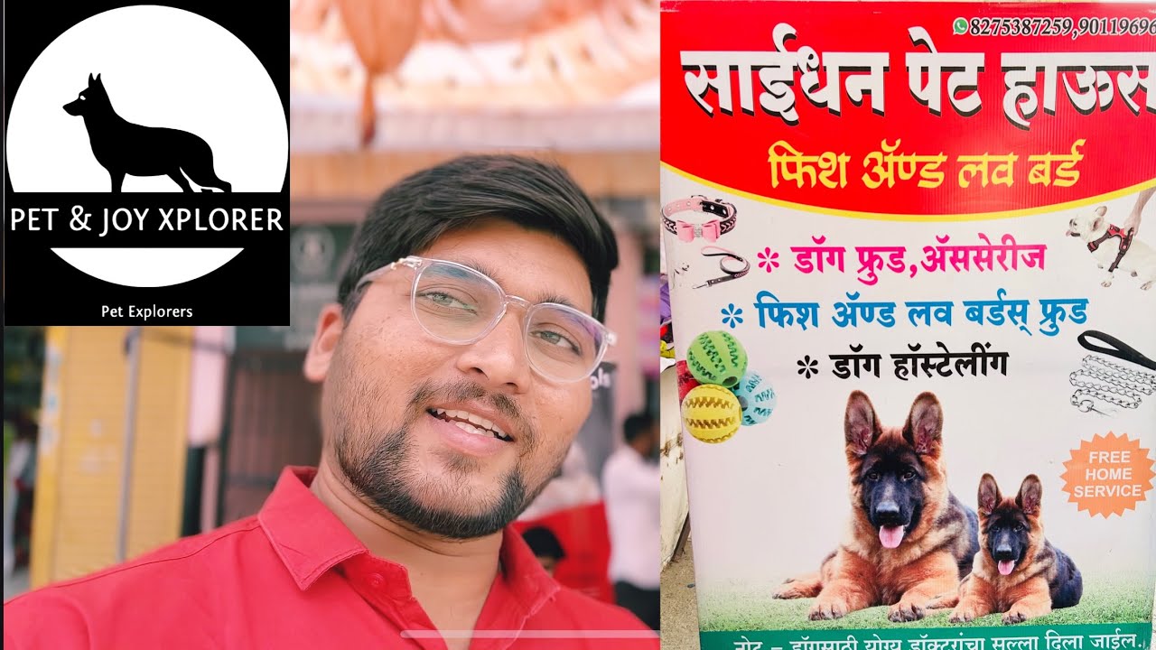 SAI DHAN PET HOUSE || JALNA|| CITY OF STEEL|| #dog #petshop #vlog # ...