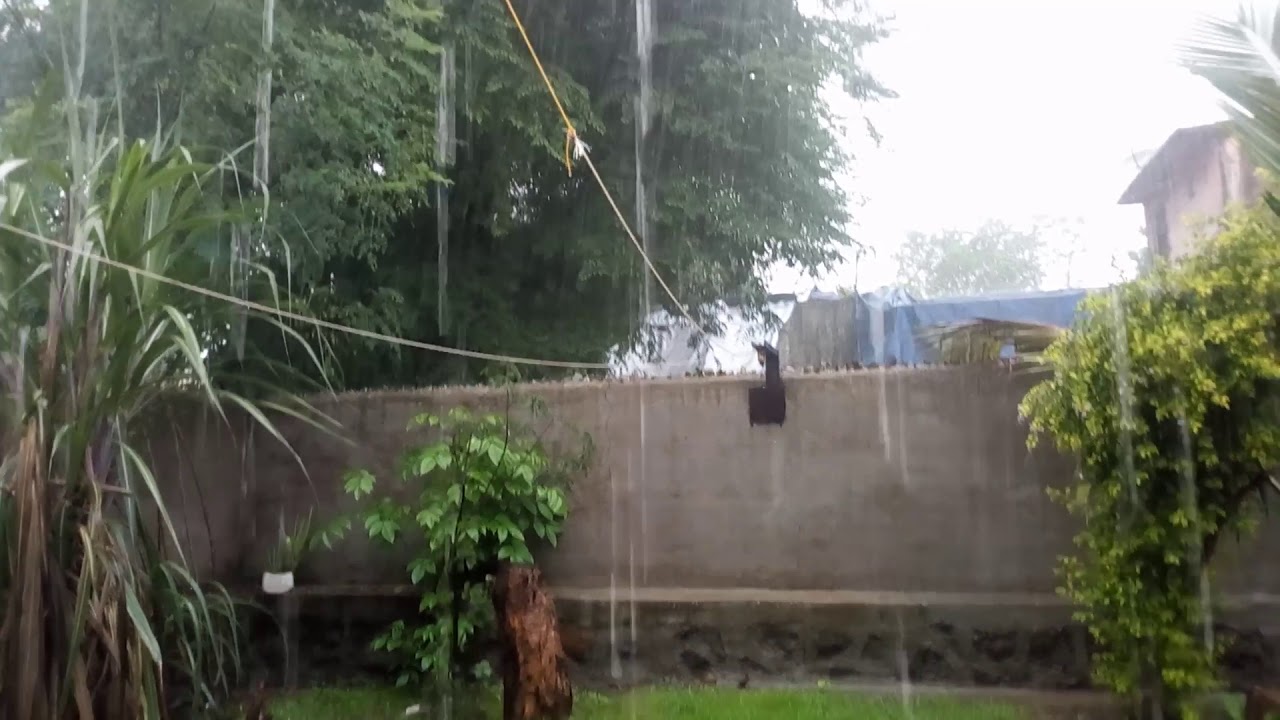Rain at vangaon kompada - YouTube