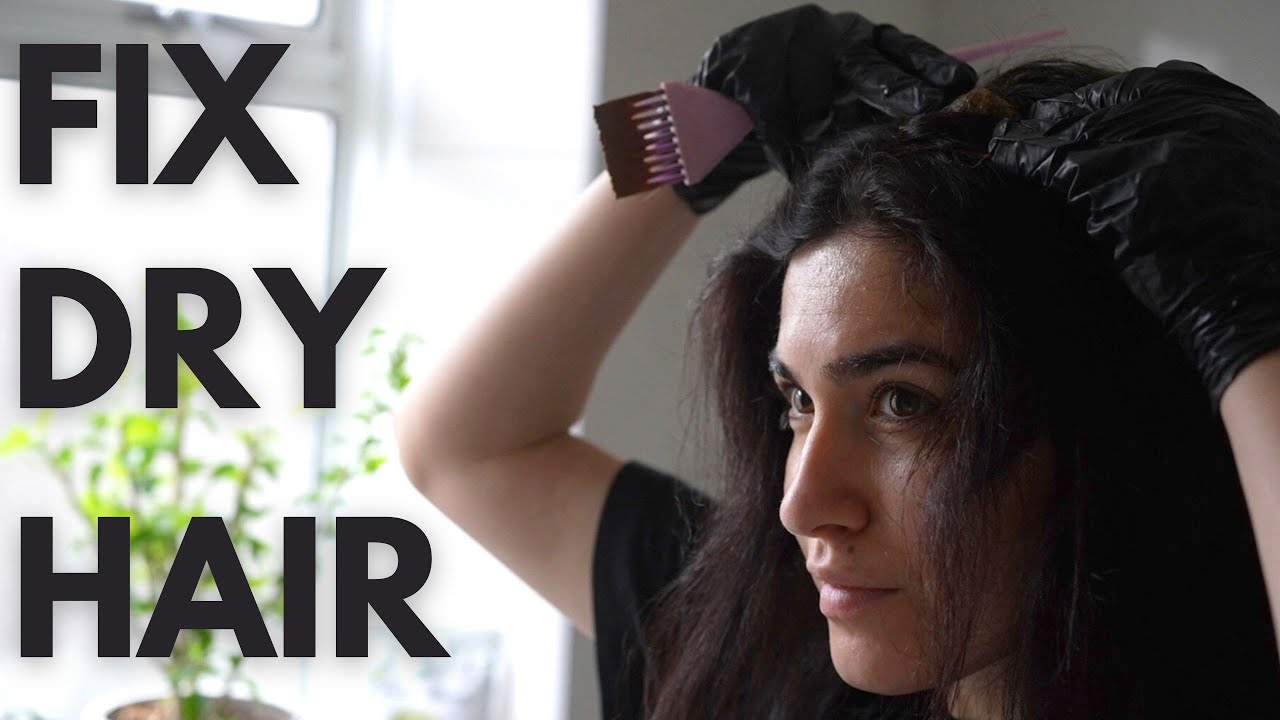 Henna Hair Colouring (The Henna Guys) + HOW TO FIX DRY HAIR AFTER HENNA ...
