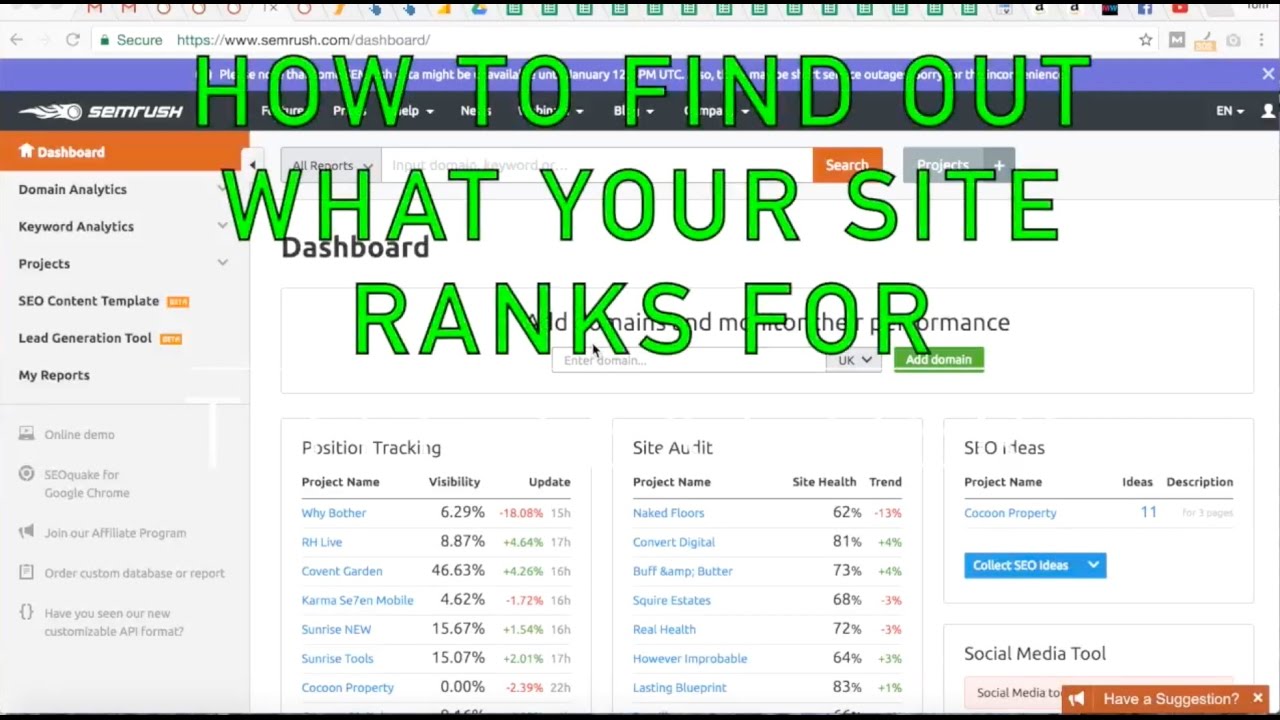 How to Know What You Rank For in Google - YouTube