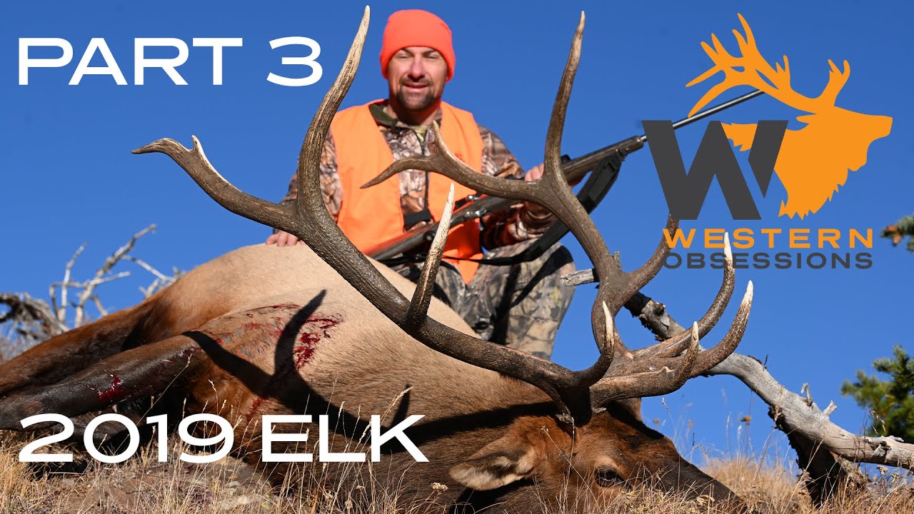 PART 3: HUGE SIX POINT BULL ELK ! 2019 Colorado Elk Hunt Part 3 of 3 ...