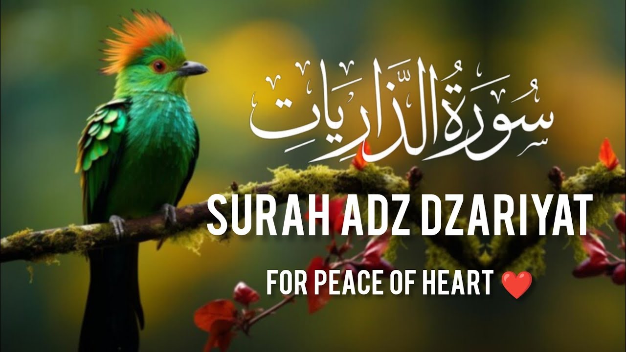 surah Adz dzariyat | ( سورۃ الذاریات ) By Qari Javed amazing Quran ...