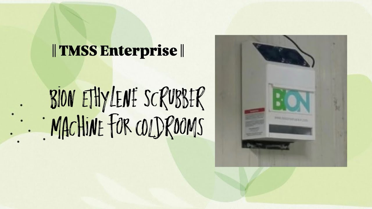 Ethylene Scrubber Machines in Cold rooms - YouTube