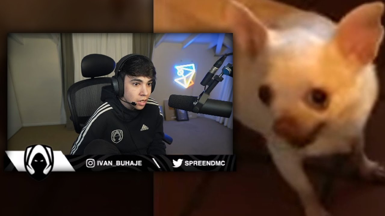 SPREEN VIENDO MEMES (PARTE 30) - YouTube