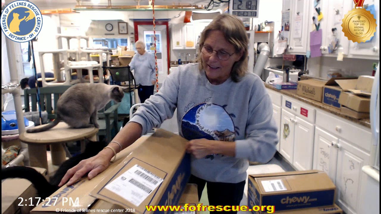 FFRC Boxes and Updates 10-30-2019 - YouTube