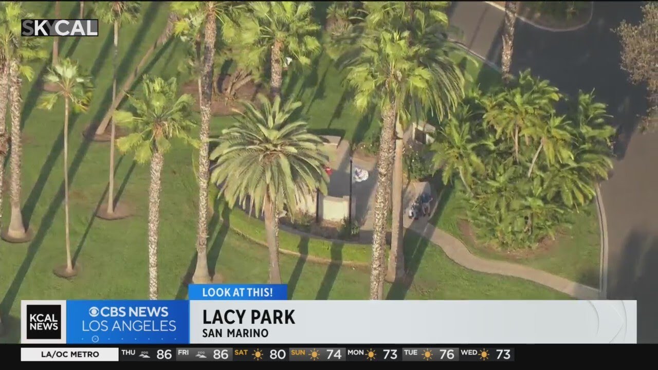 Lacy Park | Look At This! - YouTube
