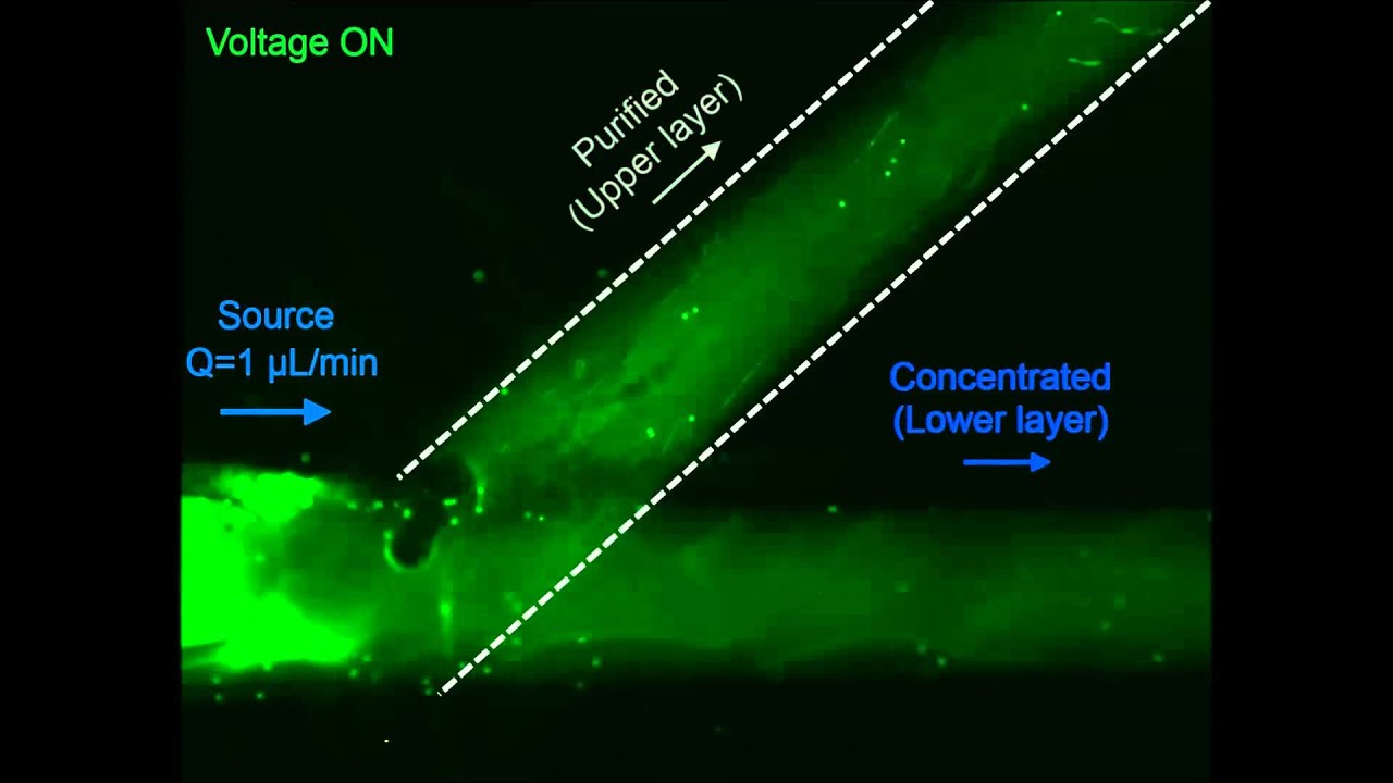 Out-of-plane ion concentration polarization for scalable water ...